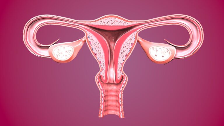 The Causes Of Vaginal Bleeding After Sex Post Coital Bleeding 2435