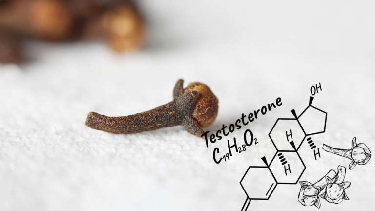 Benefits of Cloves Sexually for Men and Women - Enhance Intimacy Naturally