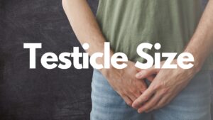 How to Increase Testicle Size - Busting Myths and Understanding Facts ...